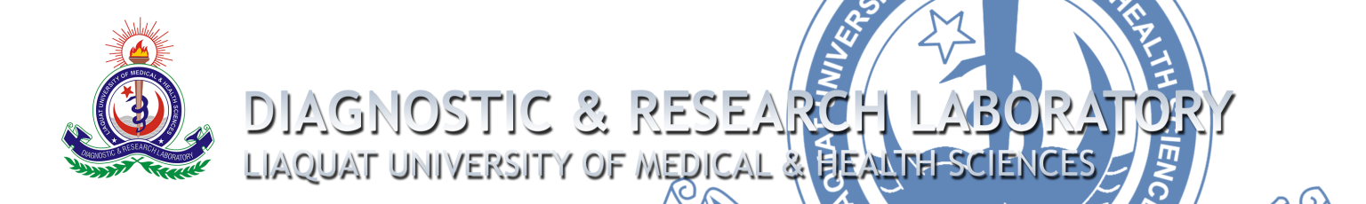 Ebone Network – Fast, Reliable, and Secure Internet Services for Homes ...